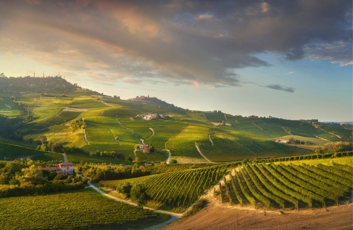 10 luoghi che devi assolutamente visitare nelle Langhe | Tartufi Morra