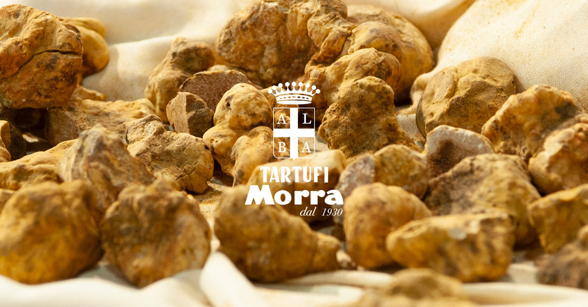 Online sale of fresh truffles and products made with Alba truffle (Italy)